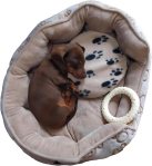 Official SnuggleSafe Distributor in the USA | Onogo – Find SnuggleSafe ...