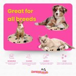 Official SnuggleSafe Distributor in the USA | Onogo – Find SnuggleSafe ...
